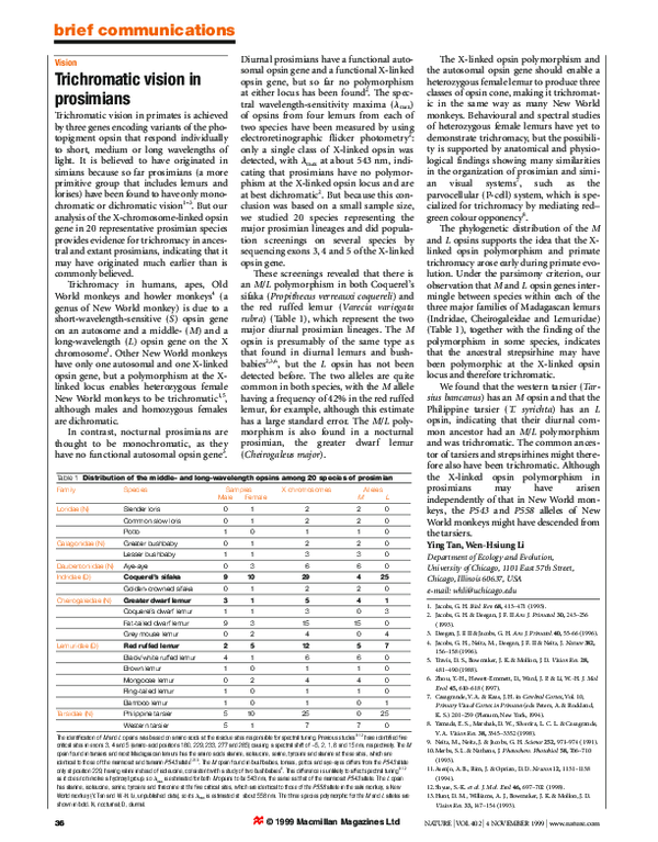 (PDF) Trichromatic vision in prosimians