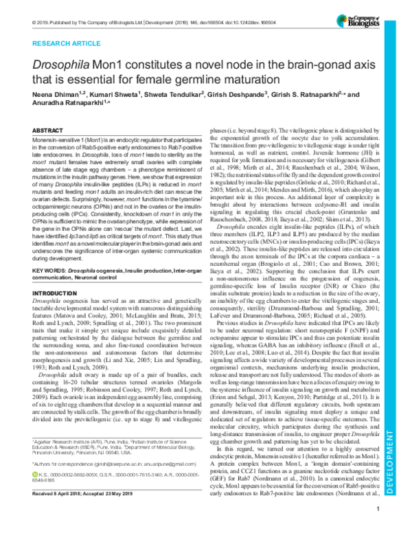 (PDF) Drosophila Mon1 constitutes a novel node in the brain-gonad axis ...