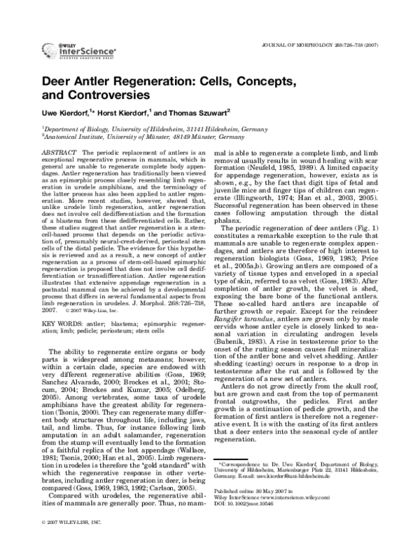 (PDF) Deer antler regeneration: Cells, concepts, and controversies
