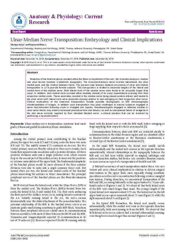 Pdf Ulnar Median Nerve Transposition Embryology And Clinical