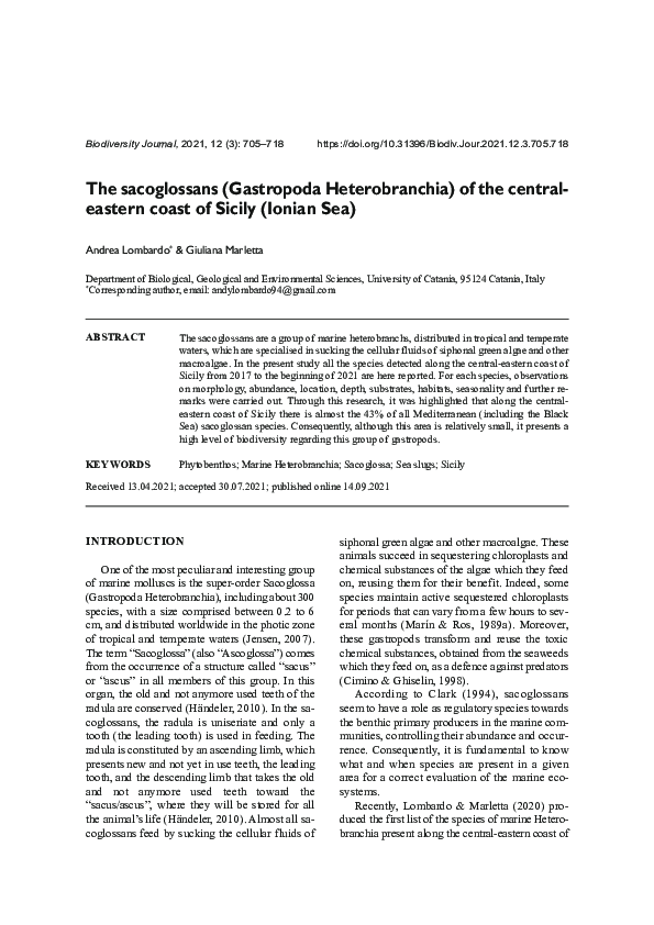 (PDF) The sacoglossans (Gastropoda Heterobranchia) of the central ...