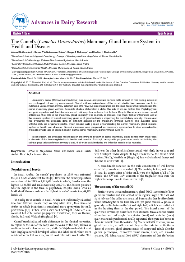 (PDF) The Camel's (Camelus Dromedarius) Mammary Gland Immune System in ...