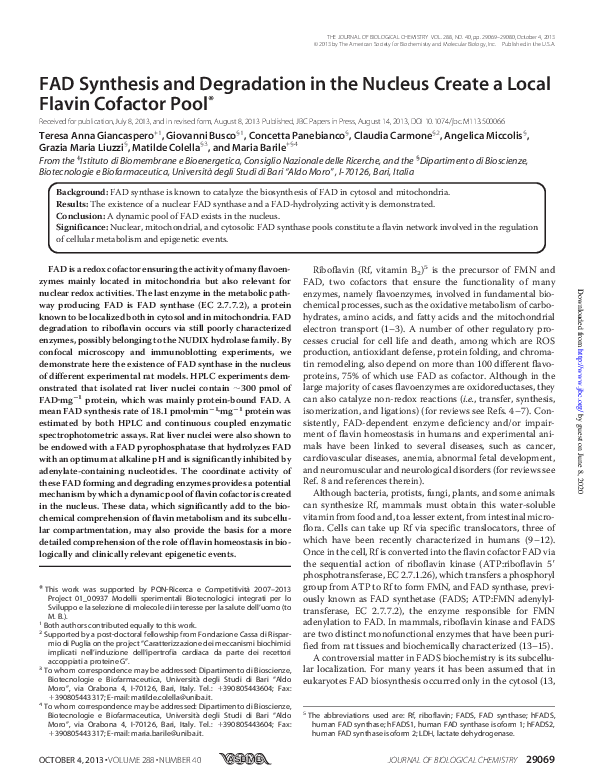 (PDF) FAD Synthesis and Degradation in the Nucleus Create a Local ...