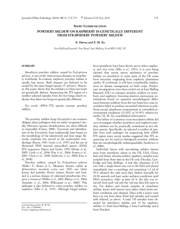 (PDF) Powdery Mildew on Raspberry is Genetically Different from ...