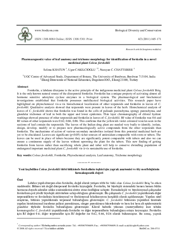 (PDF) Pharmacognostic value of leaf anatomy and trichome morphology for ...