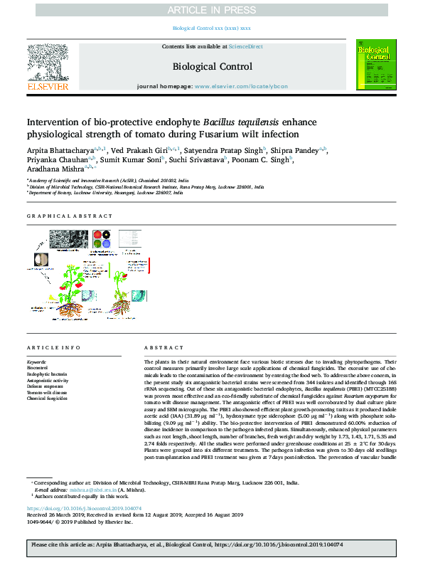 (PDF) Intervention of bio-protective endophyte Bacillus tequilensis ...
