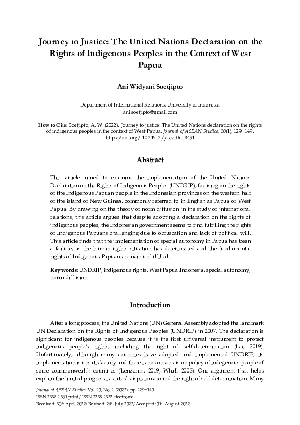 (PDF) Journey to Justice: The United Nations Declaration on the Rights ...