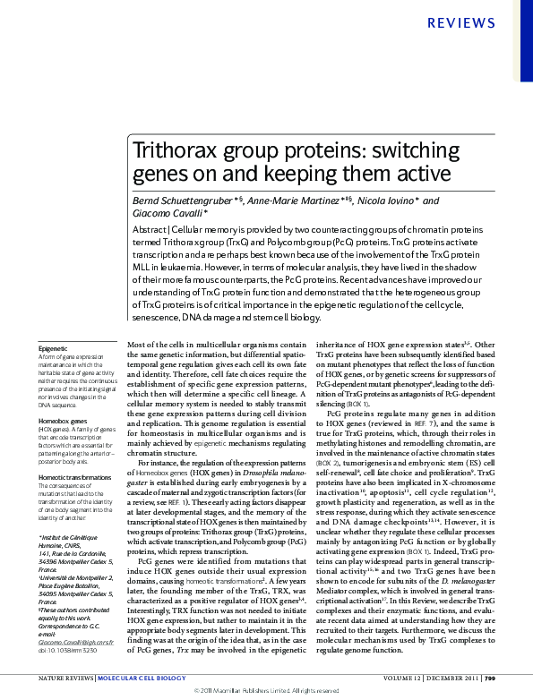 (PDF) Trithorax group proteins: switching genes on and keeping them active