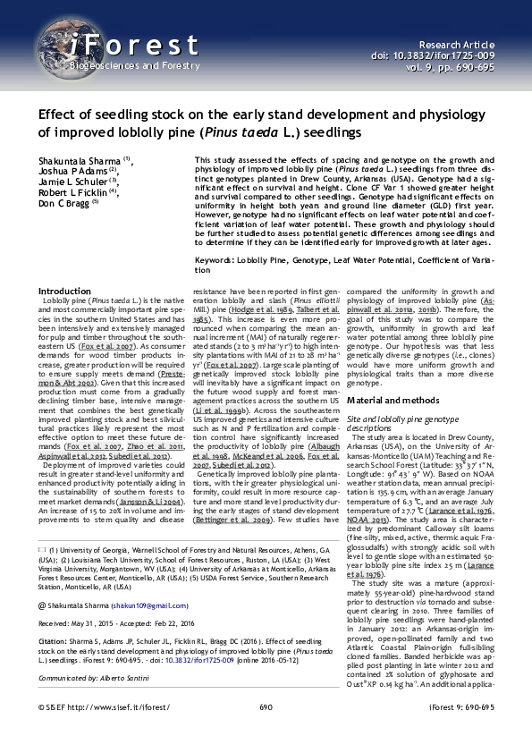 (PDF) Effect of seedling stock on the early stand development and ...