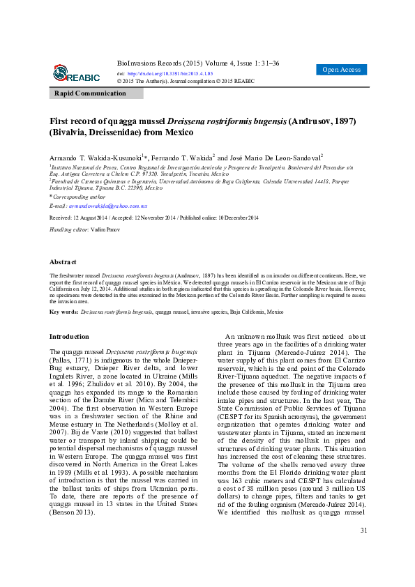 (PDF) First record of quagga mussel Dreissena rostriformis bugensis ...