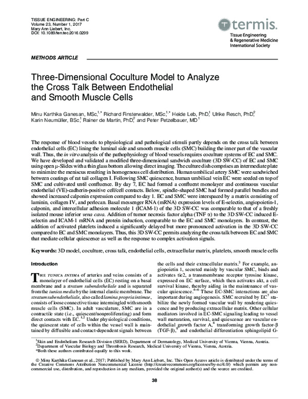 (PDF) 3D co-culture model to analyze the crosstalk between endothelial ...
