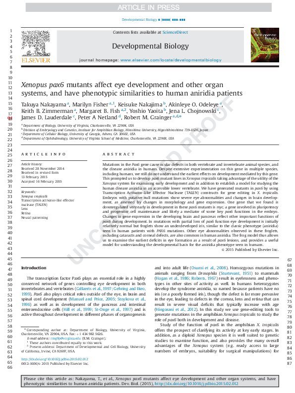 (PDF) Xenopus pax6 mutants affect eye development and other organ ...