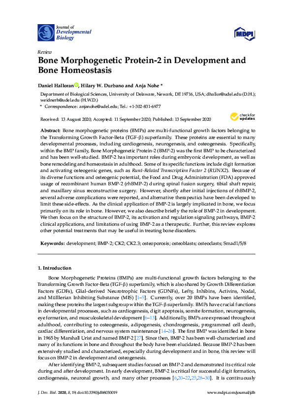 (PDF) Bone Morphogenetic Protein-2 in Development and Bone Homeostasis