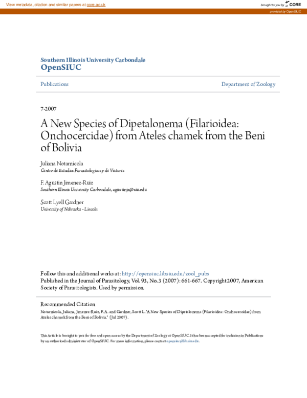 (PDF) A New Species of Dipetalonema (Filarioidea: Onchocercidae) from ...
