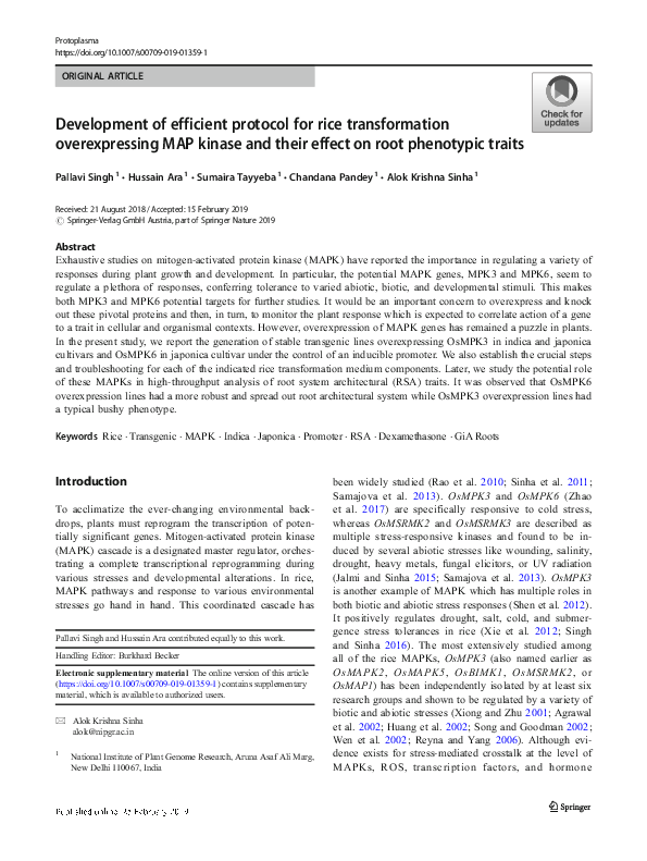 (PDF) Development of efficient protocol for rice transformation overexpressing MAP kinase and ...