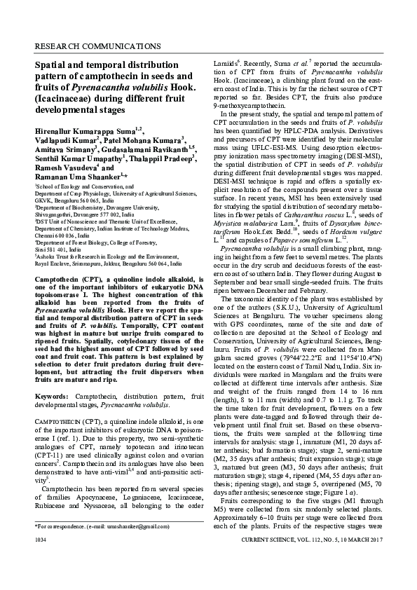 (PDF) Spatial and Temporal Distribution Pattern of Camptothecin in ...