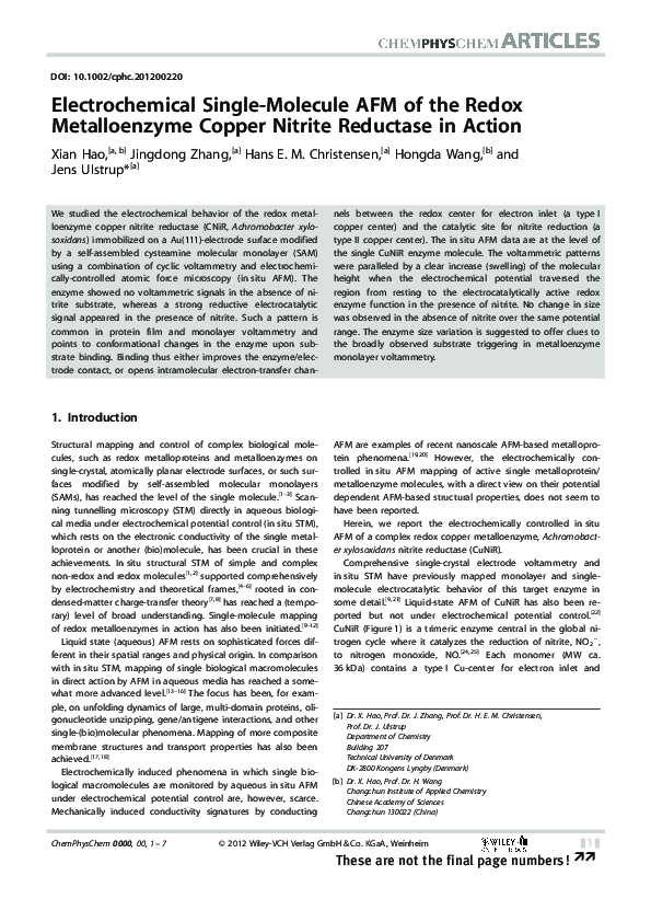 (PDF) Electrochemical Single-Molecule AFM of the Redox Metalloenzyme Copper Nitrite Reductase in ...