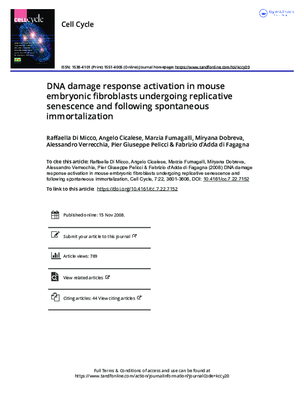 (PDF) DNA damage response activation in mouse embryonic fibroblasts ...