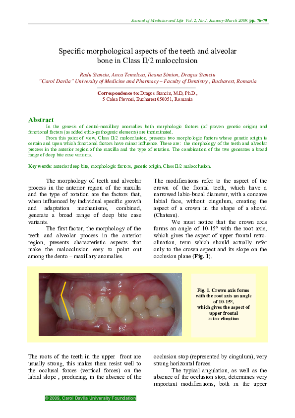 (PDF) Specific morphological aspects of the teeth and alveolar bone in ...