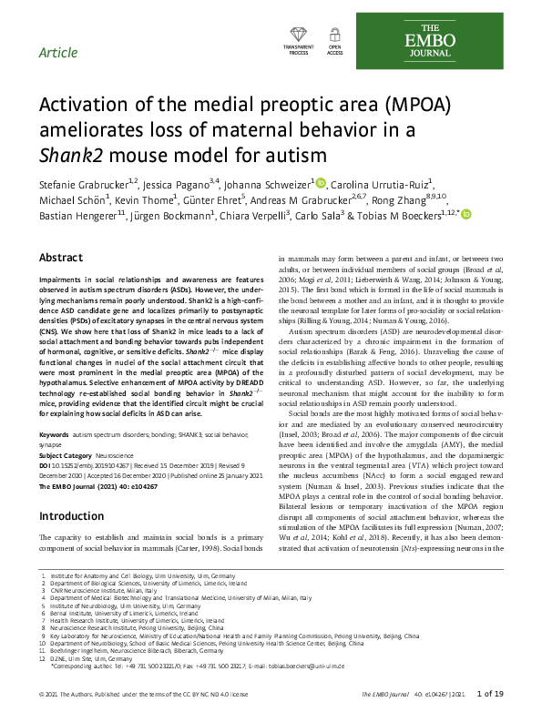 (PDF) Activation of the medial preoptic area (MPOA) ameliorates loss of ...