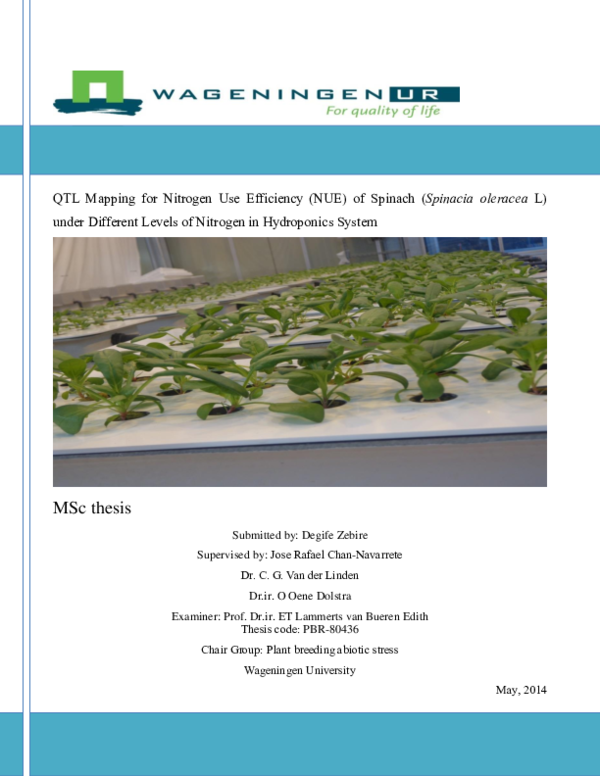 (PDF) QTL Mapping for Nitrogen Use Efficiency (NUE) of Spinach ...