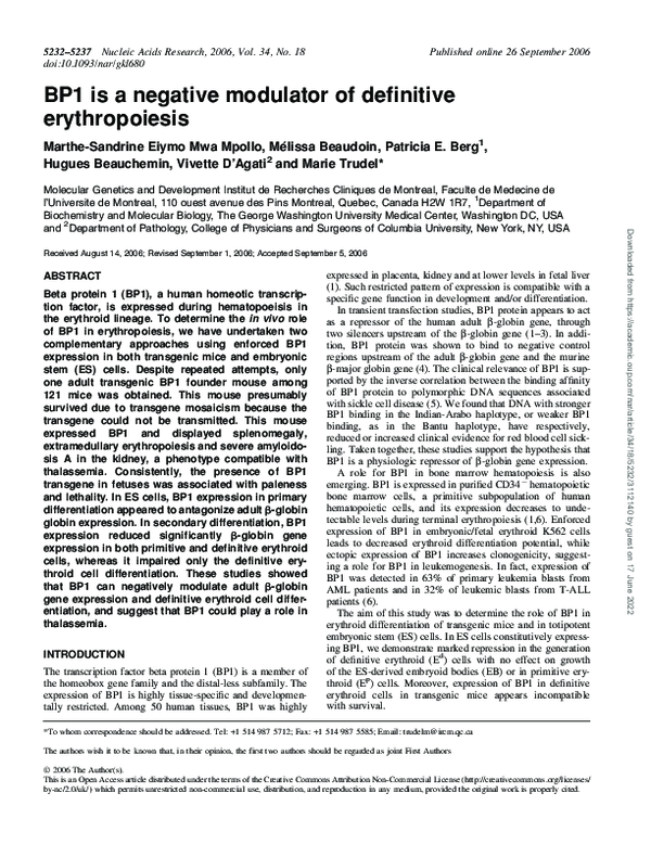 (PDF) BP1 Modulates Erythropoiesis and Globin Expression