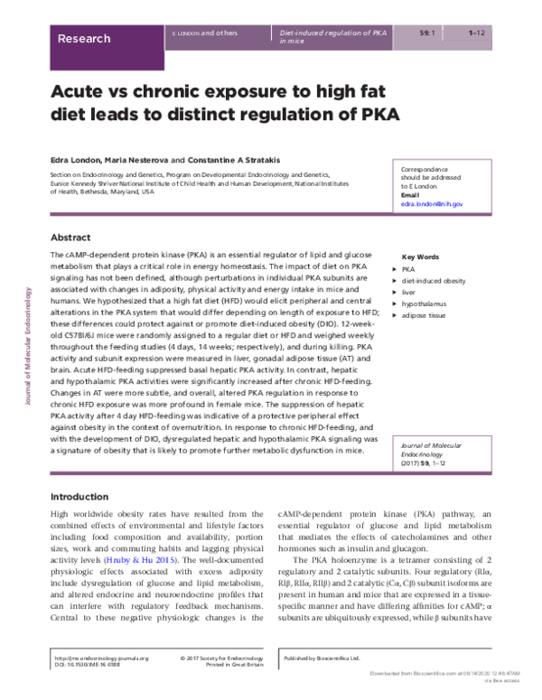 Acute vs chronic exposure to high fat diet leads to distinct regulation of PKA
