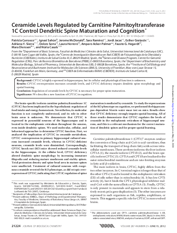 (PDF) Ceramide Levels Regulated by Carnitine Palmitoyltransferase 1C ...