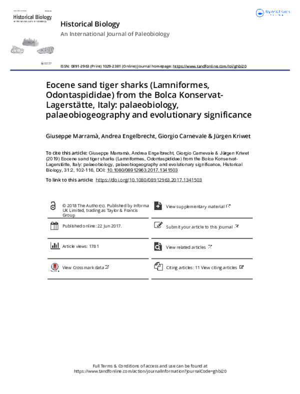 (PDF) Eocene sand tiger sharks (Lamniformes, Odontaspididae) from the ...