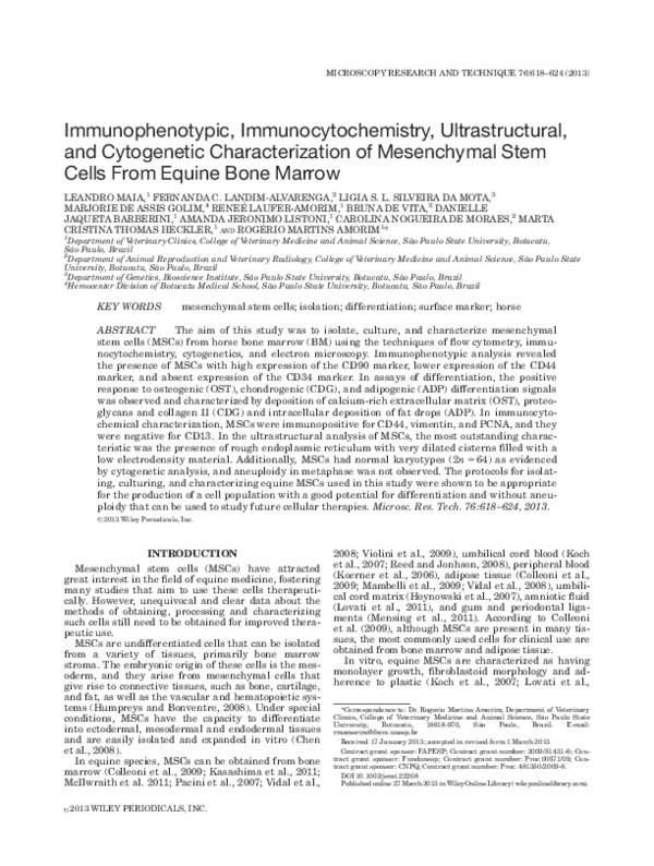 (PDF) Immunophenotypic, immunocytochemistry, ultrastructural, and ...