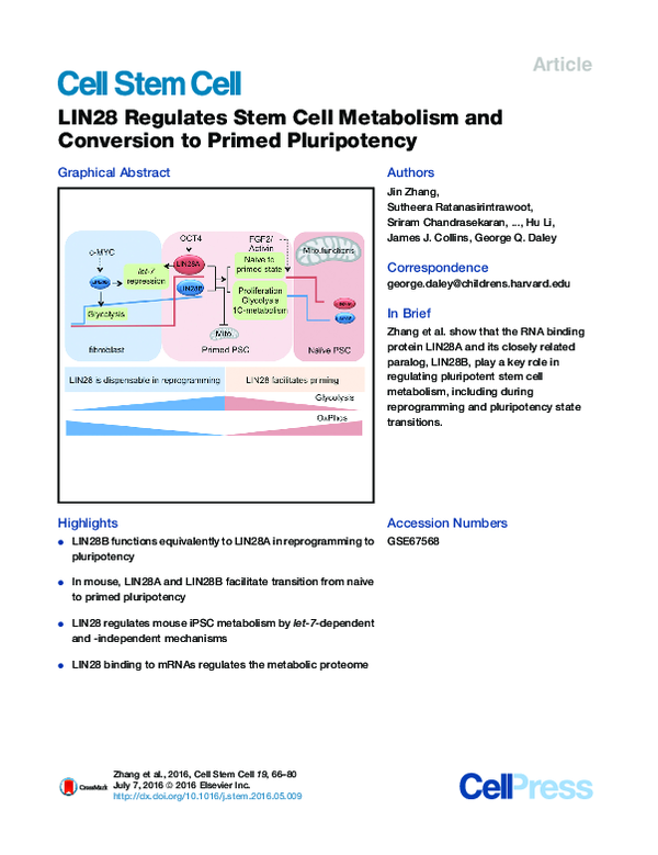 (PDF) LIN28 Regulates Stem Cell Metabolism and Conversion to Primed ...