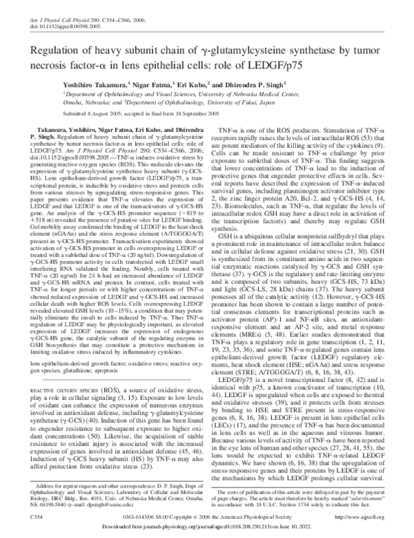 (PDF) Regulation of heavy subunit chain of γ-glutamylcysteine ...