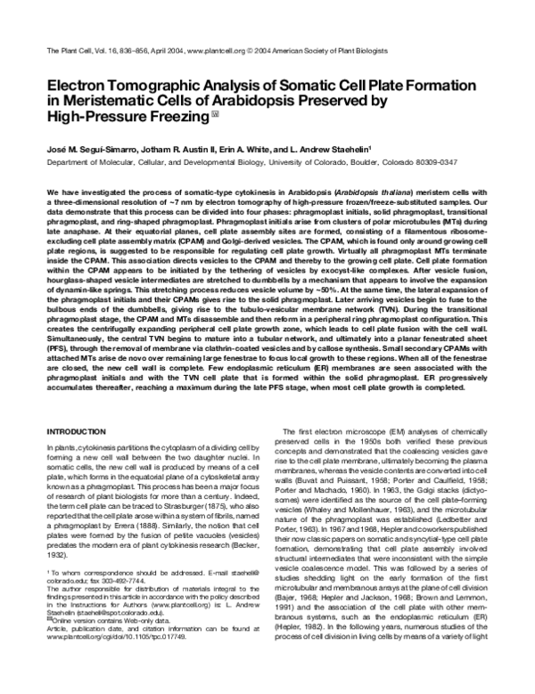 (PDF) Electron Tomographic Analysis of Somatic Cell Plate Formation in ...