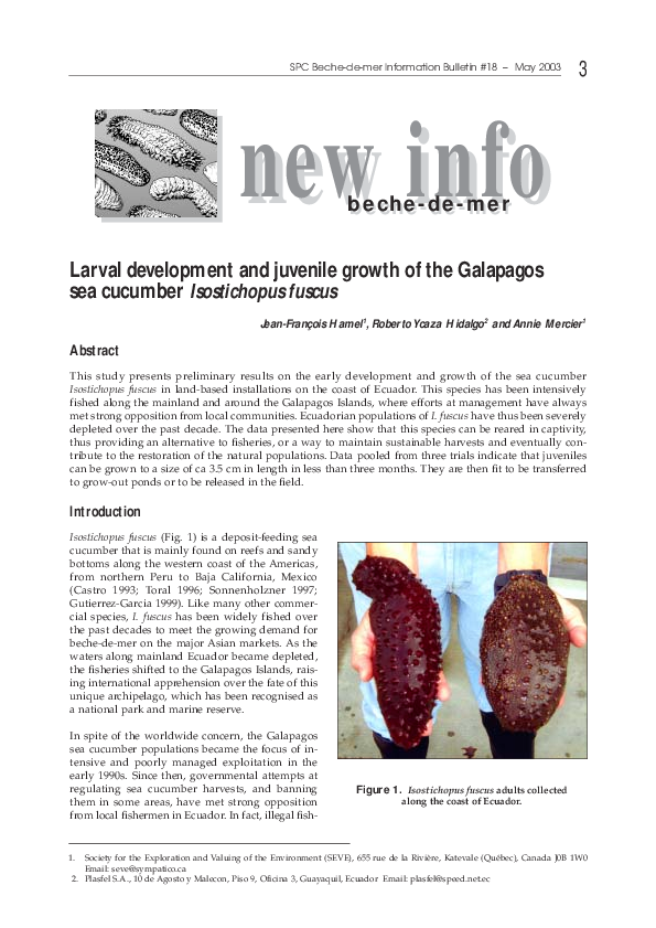 (PDF) Larval development and juvenile growth of the Galapagos sea ...