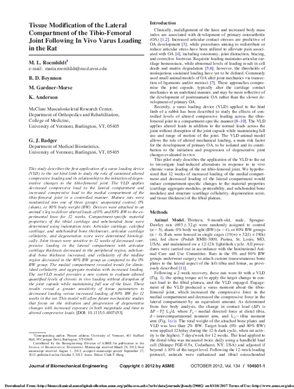 (PDF) Tissue Modification of the Lateral Compartment of the Tibio ...