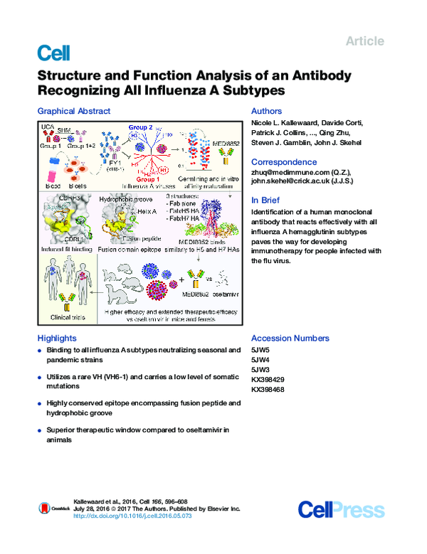 (PDF) Structure and Function Analysis of an Antibody Recognizing All ...