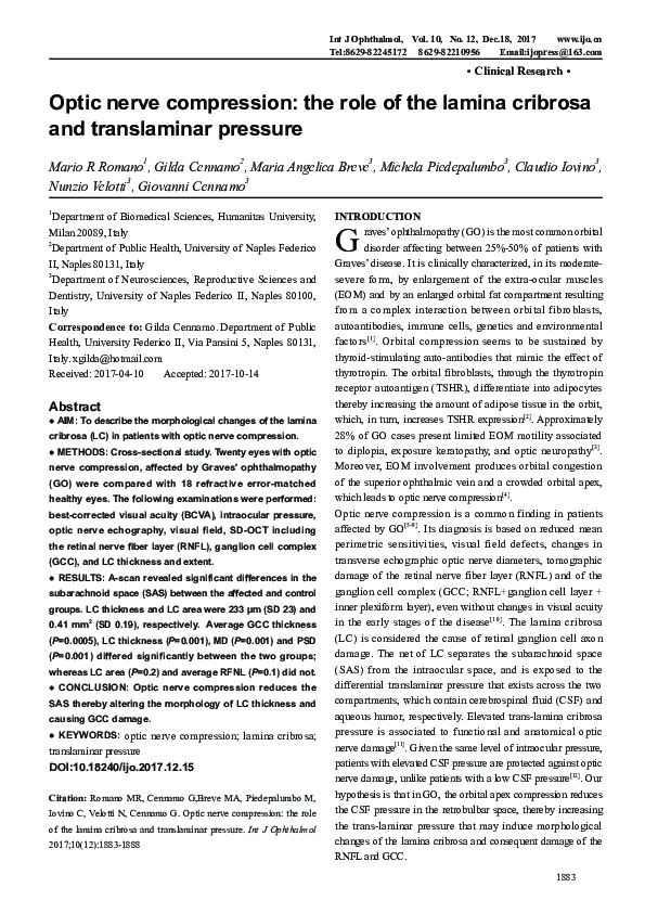 (PDF) Optic nerve compression: the role of the lamina cribrosa and ...