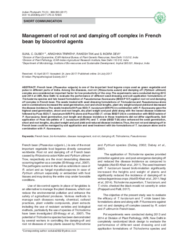 (PDF) Management of Root Rot and Damping off Complex in French Bean by ...