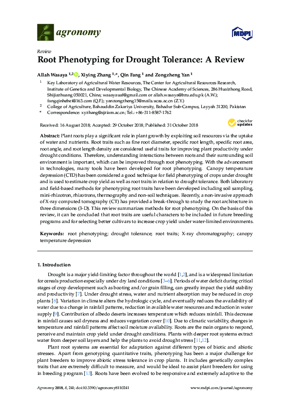 (PDF) Root Phenotyping for Drought Tolerance: A Review
