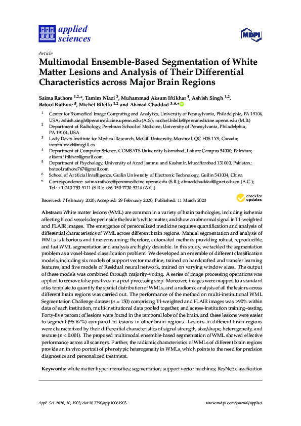 (PDF) Multimodal Ensemble-Based Segmentation of White Matter Lesions and Analysis of Their ...