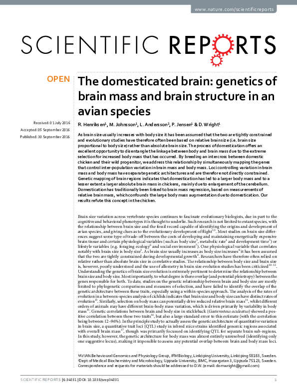 (PDF) The domesticated brain: genetics of brain mass and brain structure in an avian species