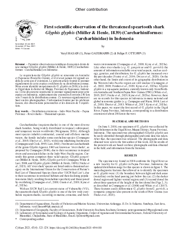 (PDF) First scientific observation of the threatened speartooth shark ...