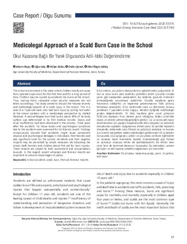 (PDF) Medicolegal Approach of a Scald Burn Case in the School