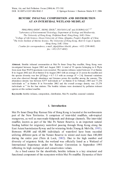(PDF) Benthic Infaunal Composition and Distribution at an Intertidal ...
