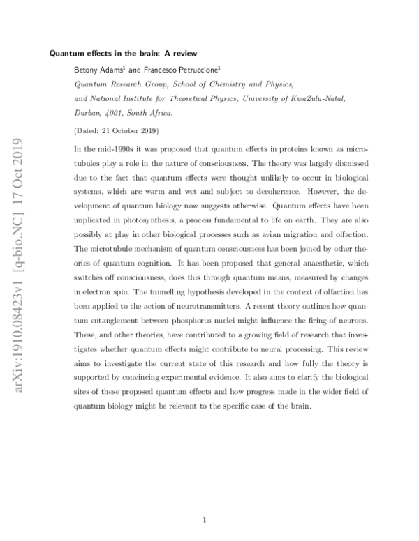 (PDF) Quantum effects in the brain: A review
