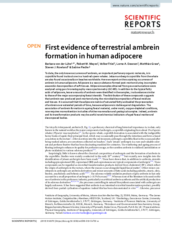 (PDF) First evidence of terrestrial ambrein formation in human adipocere