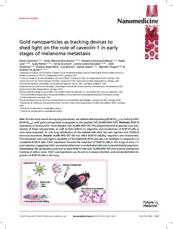 (PDF) Gold nanoparticles as tracking devices to shed light on the role ...
