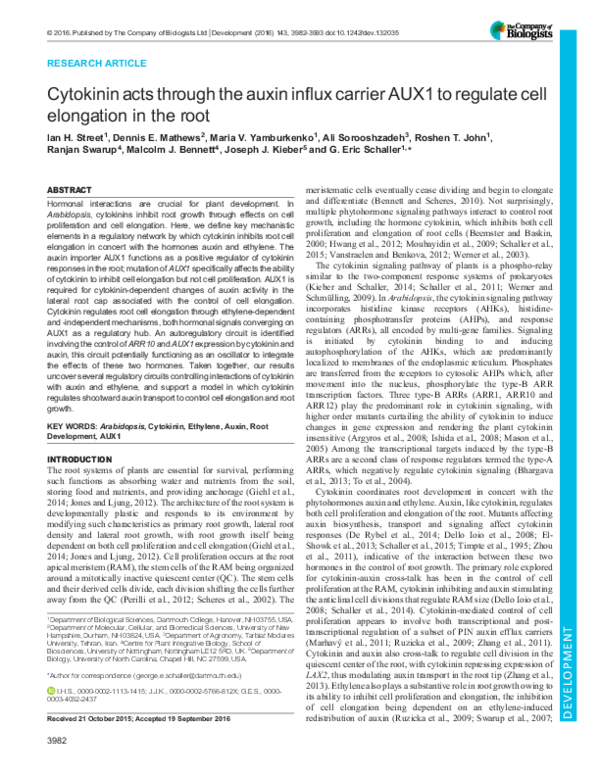 (PDF) Cytokinin acts through the auxin influx carrier AUX1 to regulate ...