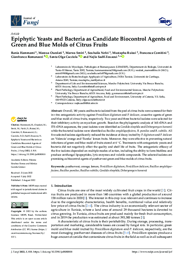 (PDF) Epiphytic Yeasts and Bacteria as Candidate Biocontrol Agents of ...