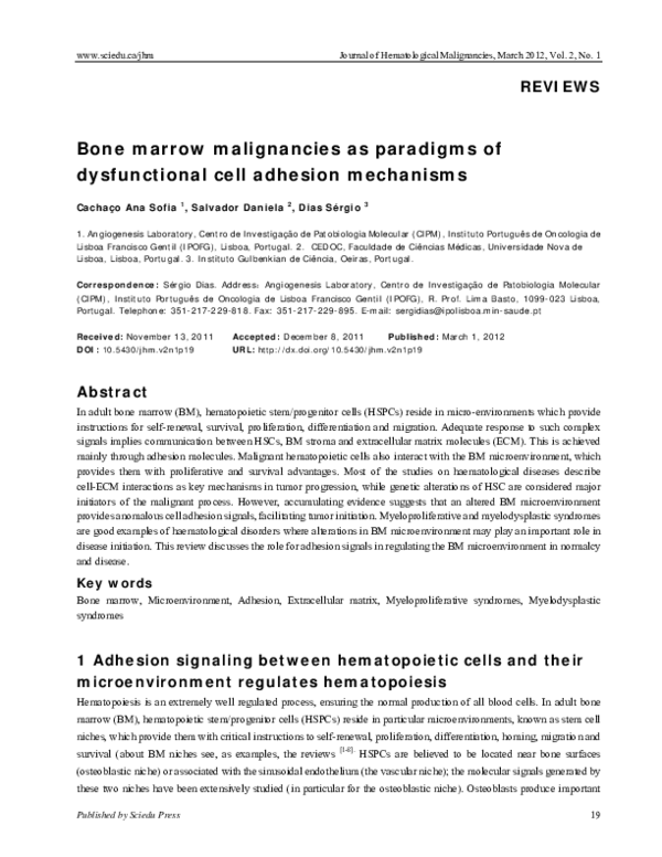 (PDF) Bone marrow malignancies as paradigms of dysfunctional cell ...
